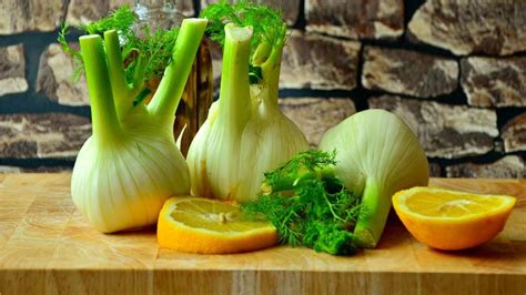 Spices Good For Dogs 11 Best Seasonings And Herbs