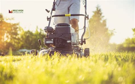 How Do You Make a Lawn Mower Go Faster? Step-by-Step Guide