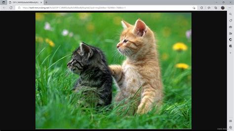 Nginx配置文件rewrite和ifnginx 配置文件 If Csdn博客 Nginx配置文件rewrite和ifnginx 配置文件 If Csdn博客