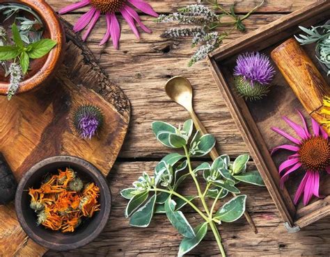 7 Legjobb Gyógynövény Cukorbetegség Ellen Integratív Medicina