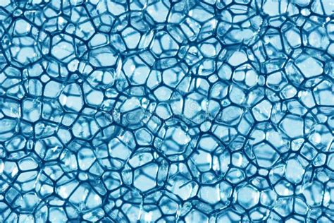 Bubble Network Background Stock Image Image Of Mathematics Fusion 2060617