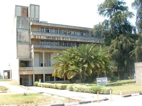 The University Of Zambia