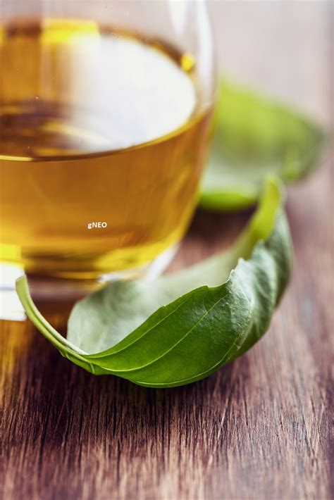 Basil Essential Oil Organic Get Natural Essential Oils