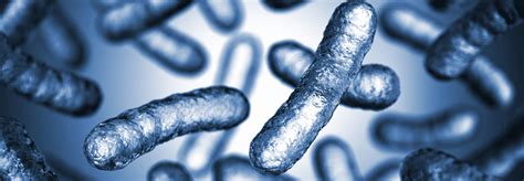 Bakteriämie Pneumokokken Im Blut Bedrohen Klappen Und Gefäße