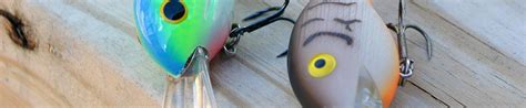 Gear Up For Bank Fishing The Ultimate Bass Fishing Resource Guide® Llc
