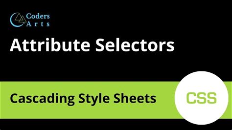 33 Attribute Selectors Css Tutorial For Beginners Youtube
