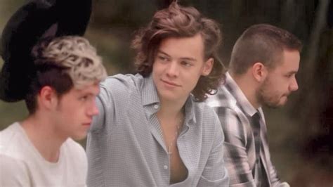 Niall Harry And Liam Couple Photos Couples Scenes