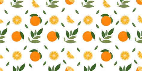 흰색에 오렌지와 나뭇잎이 있는 감귤류 매끄러운 패턴 벡터 그림입니다 0명에 대한 스톡 벡터 아트 및 기타 이미지 0명 감귤