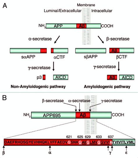 Schematic Representation Of App Processing A In The Download Scientific Diagram