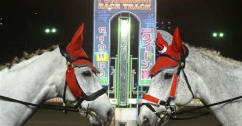 【船橋👊🏇🔥勝負レース👊🔥】117（水）【12r】カンラン賞（発走時刻2050）｜さやだま