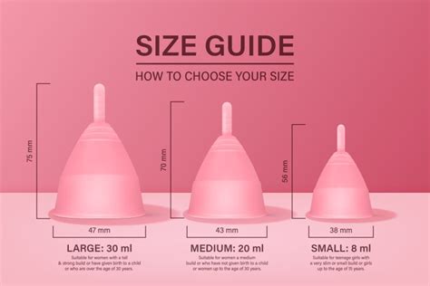 Menstrual Cycle Vector Images Over 3200