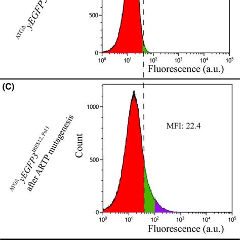 Flow Cytometry Analysis Of The Pol I‐mediated Gfp Expression System Download Scientific
