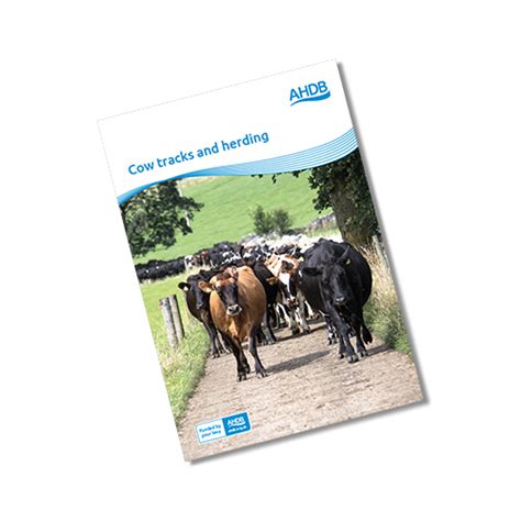 Dairy Ahdb Catalogue