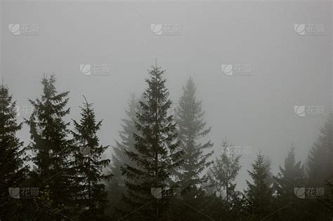 喀尔巴阡山脉美丽的风景