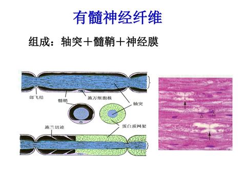 Shiping Ding Zhejiang University Ppt Download