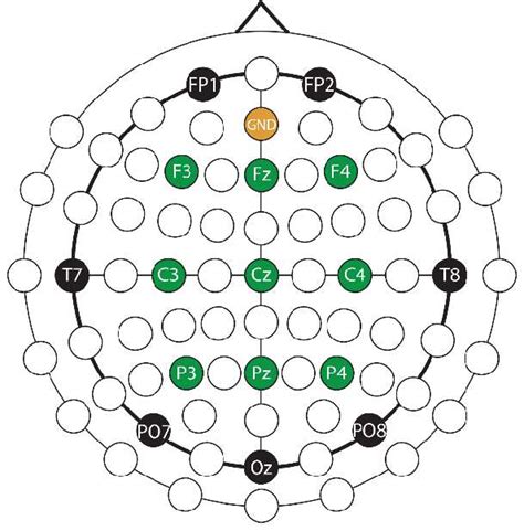 Ground Electrode In Eeg At Rory Sternberg Blog