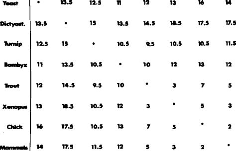 Divergence Among 5terminal 28s Rrna Sequence East Dictyost Turnip K