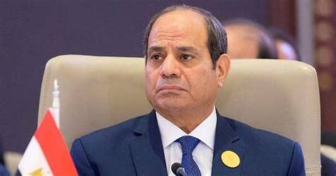 قرار جديد من السيسي بشأن الأطفال حديثي الولادة في غزة البوابة 24