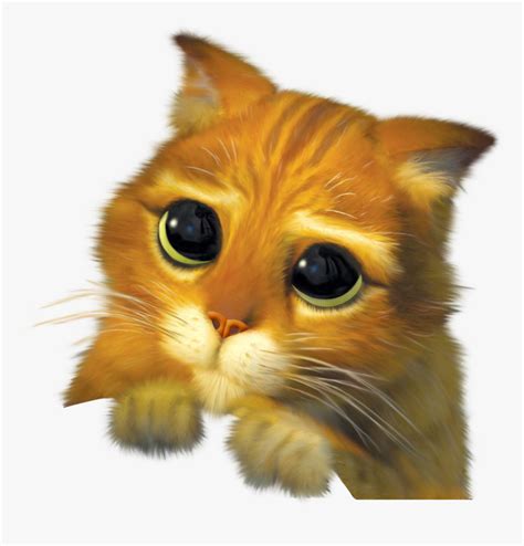 Stickers Para Whatsapp Memes Hd Png Download Kindpng