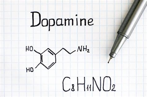 How To Hack Dopamine To Your Advantage Mindful Way To Be