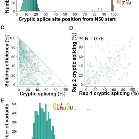Overview And Sequencing Analysis Of Motifs Enriched From Splicing