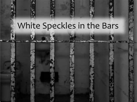 Tips To Solve Common Problems Reading Barcodes PPT