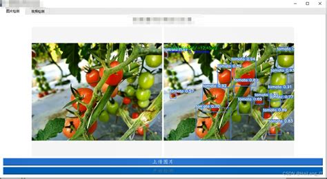 计算机科学与技术专业毕业设计最新最全选题精华汇总 持续更新中计算机科学与技术毕业设计选题 Csdn博客
