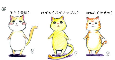 猫 『猫缶』特注タイプ ミドリのイラスト Pixiv
