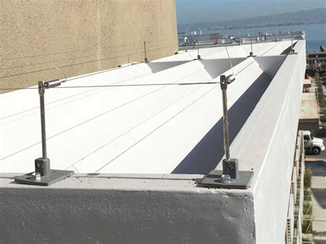 Bird Wire Ace Bird Proofing