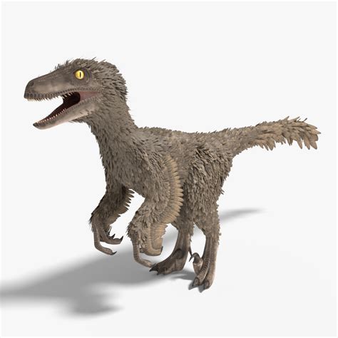 벨로시 랩터 깃털 3d 모델 119 Blend Obj Fbx Dae Free3d