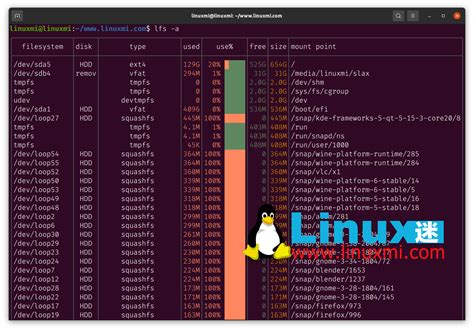 Lfs 清晰美观的列出 Linux 文件系统 Linux迷