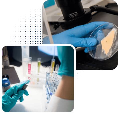 Xrf Lead Testing In Brooklyn Manhattan Lead Inspections