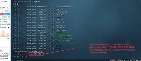 Redis（linux、windows）redis分windows和linux吗 Csdn博客