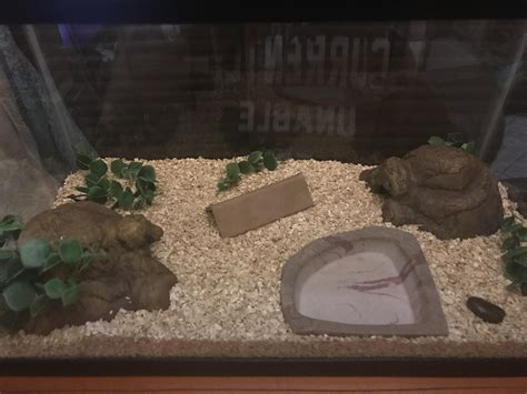 Hows My Setup R Sandboa