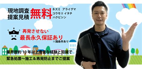 大阪・関西の害獣害虫駆除王