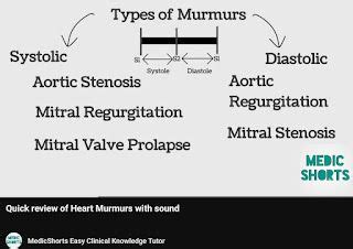Different Types Of Heart Murmurs With Sound Artofit