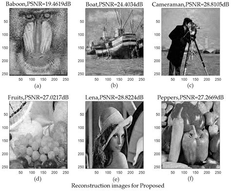 A Weak Selection Stochastic Gradient Matching Pursuit Algorithm