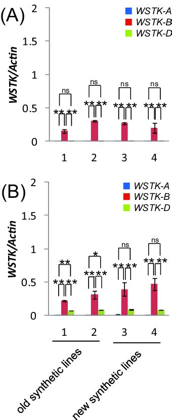 Expression Patterns Of Three WSTK Homoeologs Examined By Real Time PCR