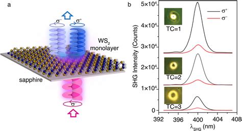 Valley Dependent Circular Polarization Shg Selection Rule For Optical Download Scientific