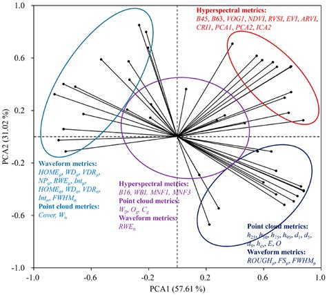 Projection Of The First Two Pca Scores From The Selected Point Cloud