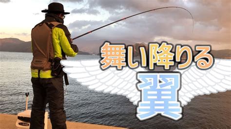 【サビキ釣り】サビキ釣りの定番アミ姫は超おススメ【舞い降りる翼】 Youtube