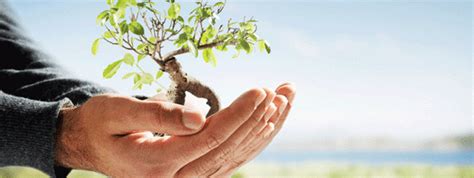 Estudos Ambientais Tecla Ambiental