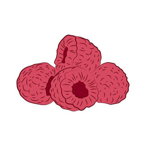 Hand Drawn Illustration Of A Raspberry Sketch In Color Raspberry Icon