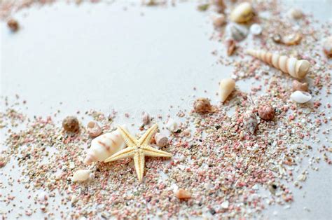 Раковины моря и розовый песок с морской звёздой на белой предпосылке