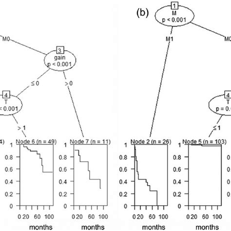 The N And P Values In This Figure Show The Sample Size And Statistical