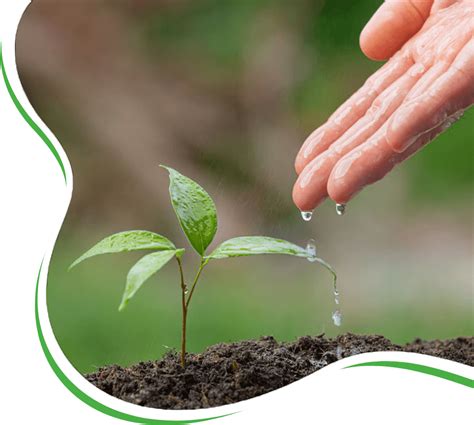 Ncec Compliance Consulting And Compliant Lab Services