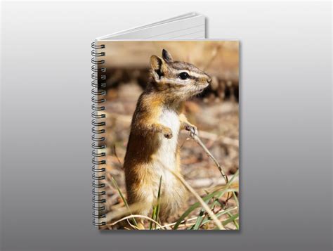 Spiral Notebook Curious Chipmunk Moment Of Perception Photography