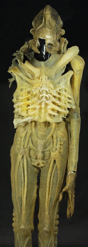 The Eighth Passenger Strange Shapes