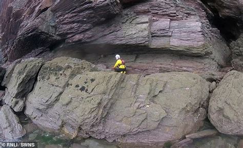 Yogi The Spaniel Is Saved By Rnli After Plunging 100ft Off Cliff Into