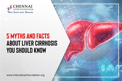 Myths And Facts About Liver Cirrhosis Chennai Liver Foundation